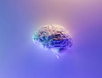 WorldVia Travel Quest Network's Travel Entrepreneur Blog